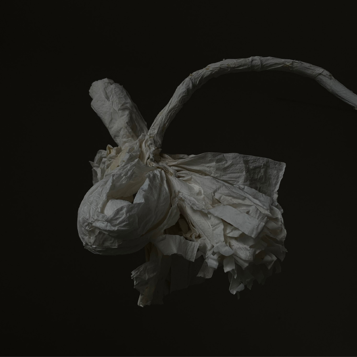 Mostra Personale di Alberte Agerskov - Conversano - il Tacco di Bacco